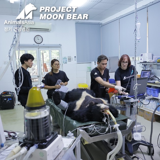 첫 번째 편지 : 자료실