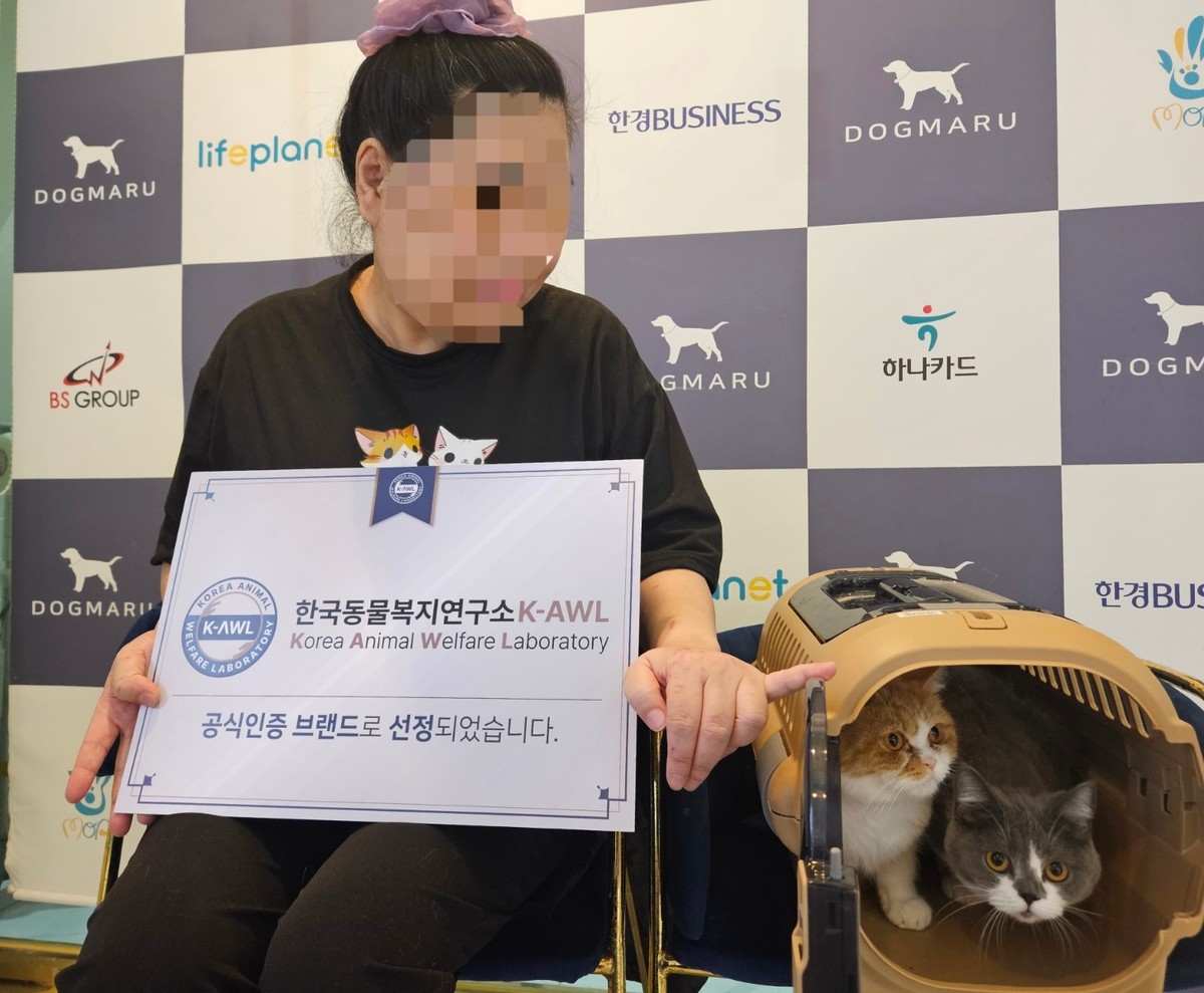 브리티쉬숏헤어 곰치즈 털빠짐없는스코티쉬폴드분양 털빠짐없는러시안블루분양 털빠짐없는강아지분양 털빠짐없는고양이분양 털빠짐없는유기견분양 털빠짐없는유기묘분양 털빠짐없는비숑프리제