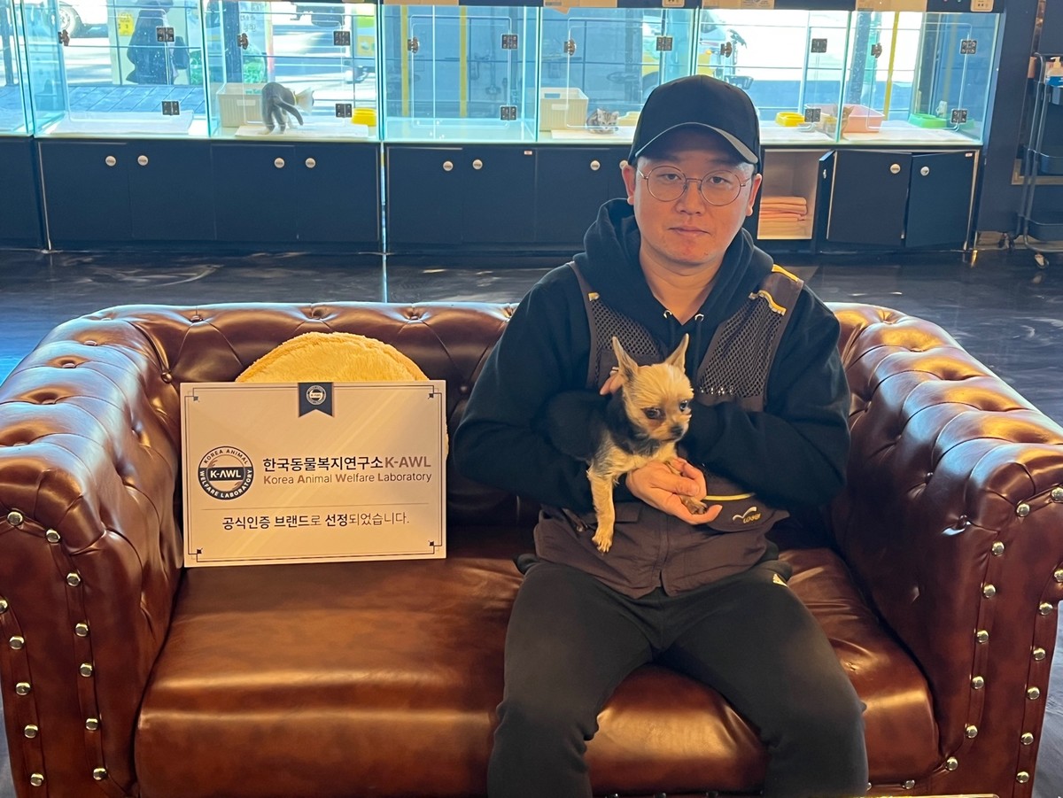 요크셔테리어 별 푸숑책임분양 노르웨이숲책임분양 데본렉스책임분양 뱅갈책임분양 샴책임분양 셀커크렉스책임분양 스핑크스책임분양 아메리칸숏헤어책임분양 아메리칸컬책임분양 아비시니안책임