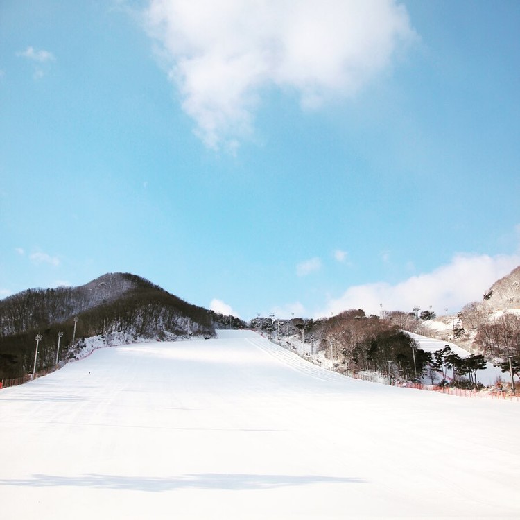 Jisan Forest Resort Day Trip : Korea Tour Planner