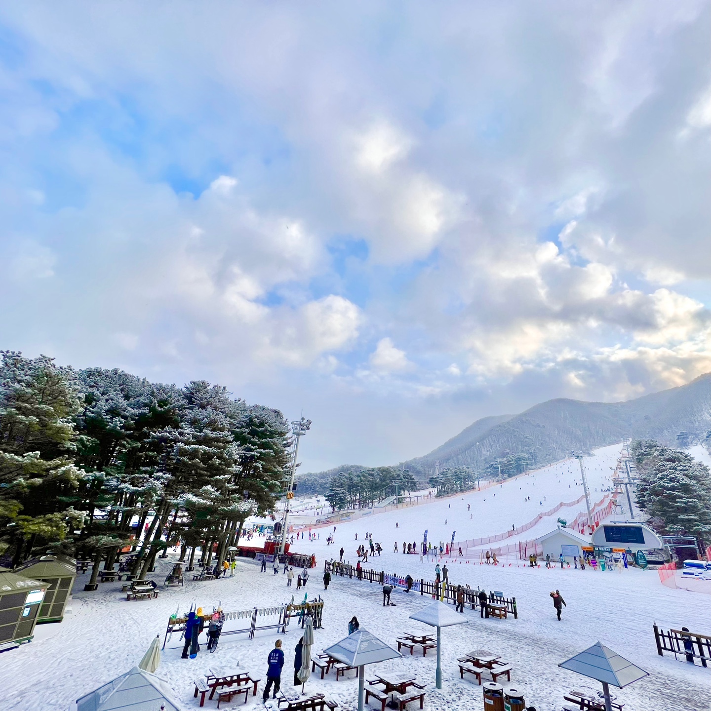 Jisan Forest Resort Day Trip : WINTERFRIEND