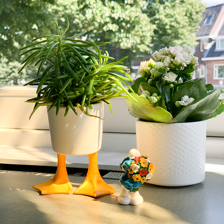 BITTEN - Duck Feet Planter (Small) : 라이프 스타일 편집샵, 보스코
