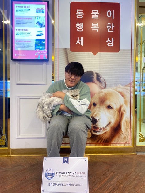 페르시안 모찌 샴입양 셀커크렉스입양 스코티쉬폴드입양 스핑크스입양 아메리칸숏헤어입양 아비시니안입양 터키시앙고라입양 페르시안입양 애완견입양 반려견입양 털빠짐없는소형견종류