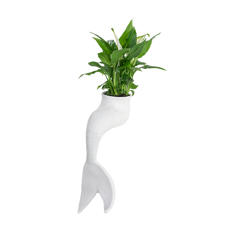 BITTEN - Mermaid Planter / 재입고 : 라이프 스타일 편집샵, 보스코