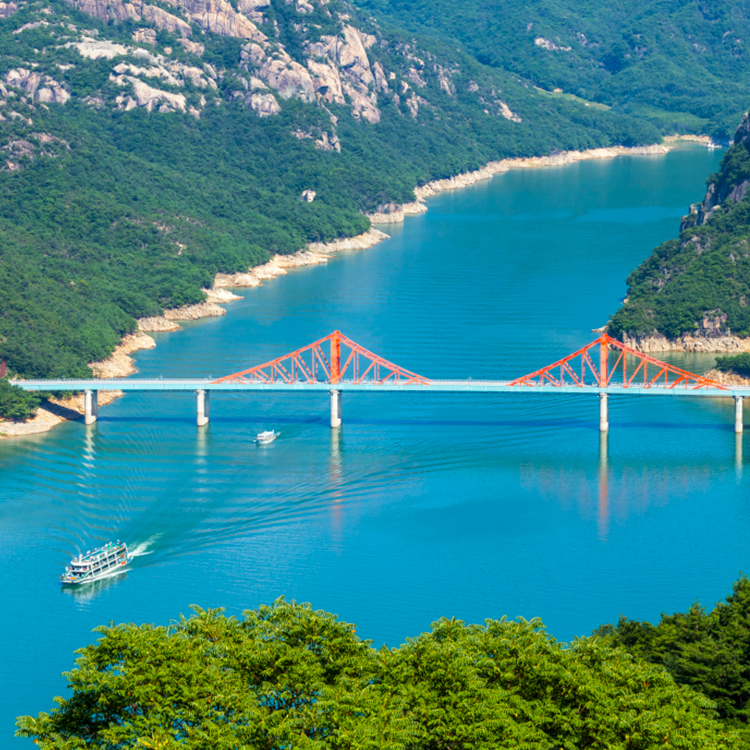 [ Danyang Cruise Tour ] - River Trekking, Temple, Market, Cruise 🚢 : Korea Tour Planner