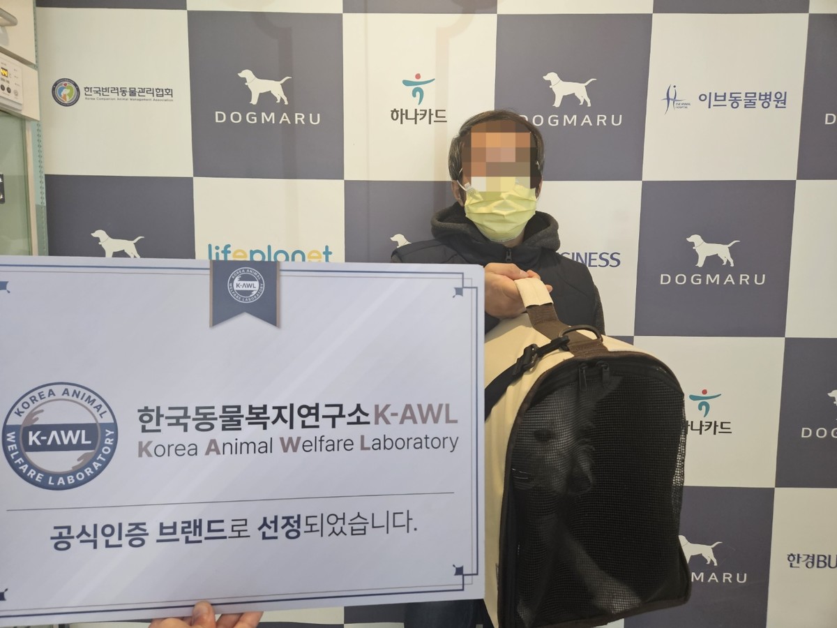 믹스견 치즈 고양이보호소 유기견보호소 유기묘보호소 비숑프리제책임분양 포메라니안책임분양 말티즈책임분양 말티푸책임분양 푸들책임분양 먼치킨책임분양 랙돌책임분양 브리티쉬숏헤어책임