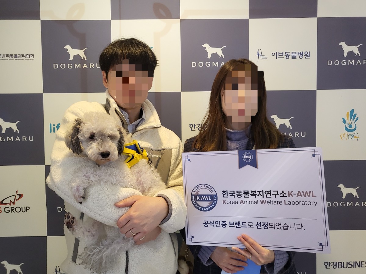 실버푸들 베어 프렌치불독크기 빠삐용크기 파피용크기 사모예드크기 스피츠크기 시바견크기 시베리안허스키크기 시츄크기 요크셔테리어크기 웰시코기크기 이탈리아그레이하운드크기 치와와크기