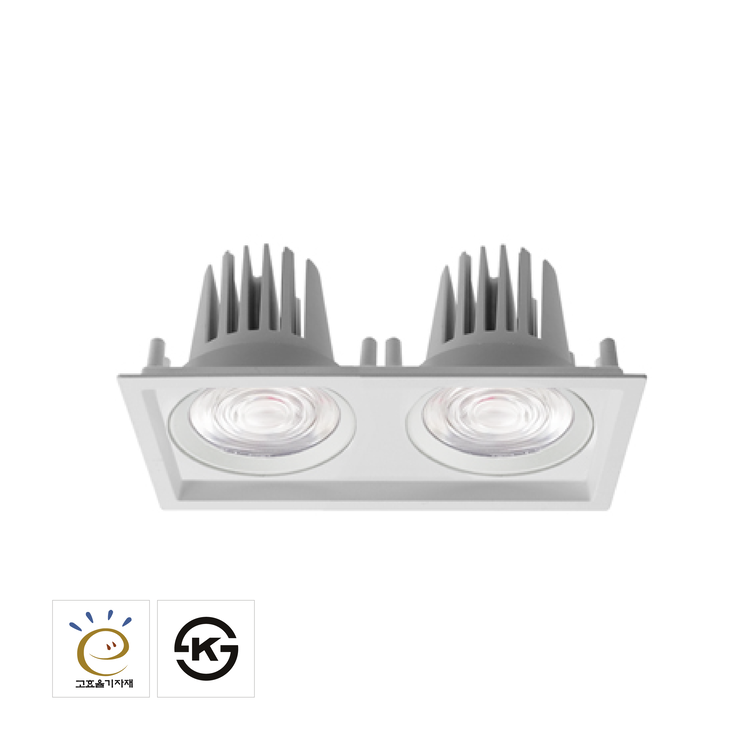 LED 10W x 2 : 라이트팹