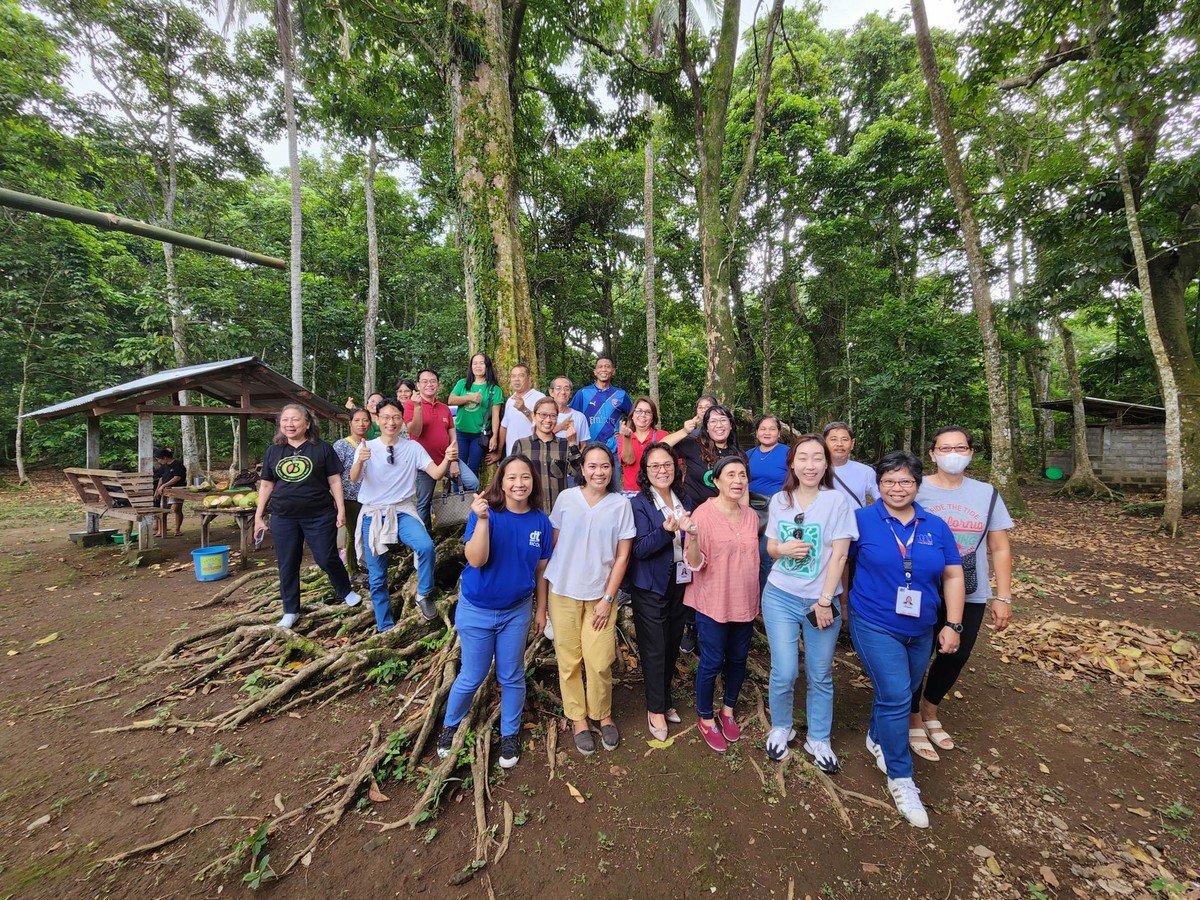 : 대한아로마테라피학회