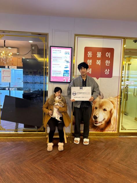 말티즈 빠돌이 대형견책임분양 미니비숑프리제책임분양 토이푸들책임분양 골든리트리버책임분양 래브라도리트리버책임분양 닥스훈트책임분양 도베르만책임분양 말티치책임분양 말티폼책임분양