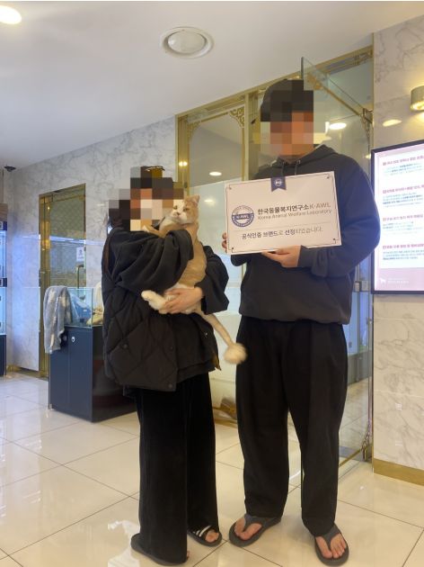 페르시안 절미 요크셔테리어무료입양사이트 웰시코기무료입양사이트 이탈리아그레이하운드무료입양사이트 치와와무료입양사이트 코카스파니엘무료입양사이트 폼스키무료입양사이트 폼치무료입양