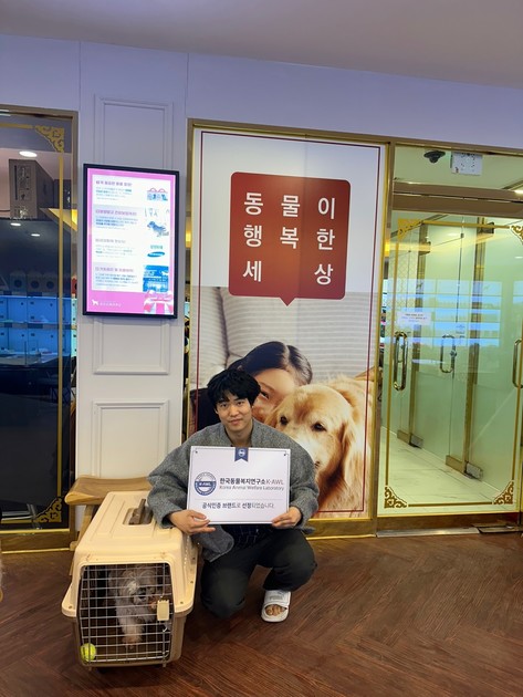 시츄 토리 사모예드책임분양 스피츠책임분양 시바견책임분양 시베리안허스키책임분양 시츄책임분양 요크셔테리어책임분양 웰시코기책임분양 이탈리아그레이하운드책임분양 치와와책임분양 코카