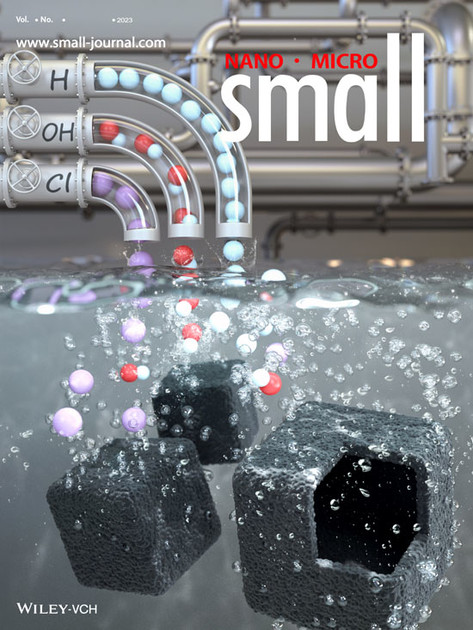 Wiley_Small : Publishing News