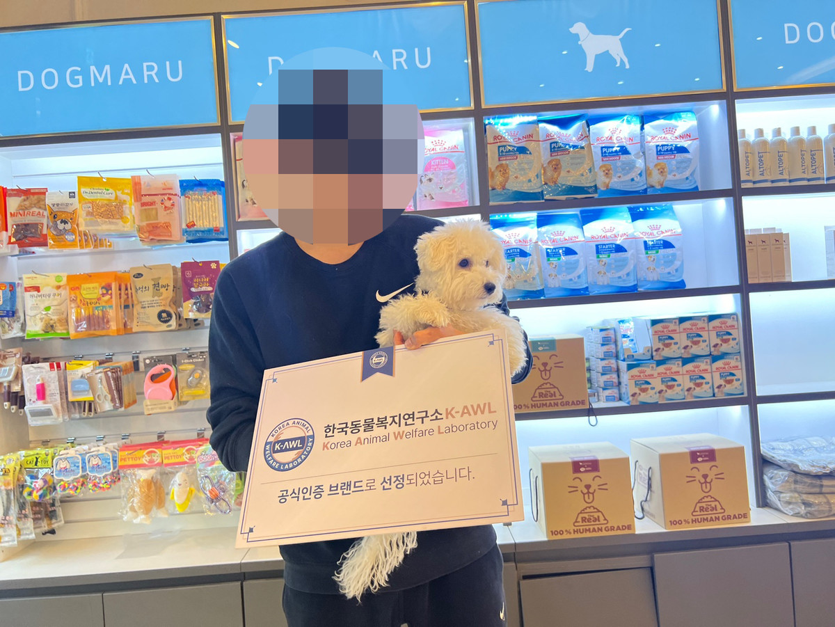 비숑프리제 소금이 말티푸전문무료분양 푸들전문무료분양 먼치킨전문무료분양 랙돌전문무료분양 브리티쉬숏헤어전문무료분양 스코티쉬폴드전문무료분양 러시안블루전문무료분양 강아지전문무료분양