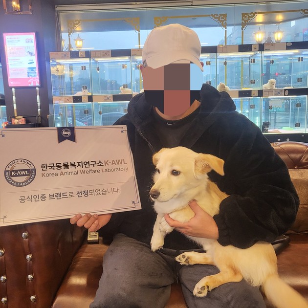 진도믹스 지혜 애완견성격 반려견성격 소형견크기 중형견크기 미니비숑프리제크기 토이푸들크기 골든리트리버크기 래브라도리트리버크기 닥스훈트크기 도베르만크기 말티치크기 말티폼크기