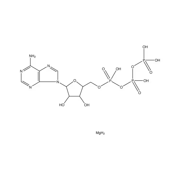 Adenosin 5'-triphosphate magnesium Mg-ATP, 500g (≥95%, bacterial) : HLB ...