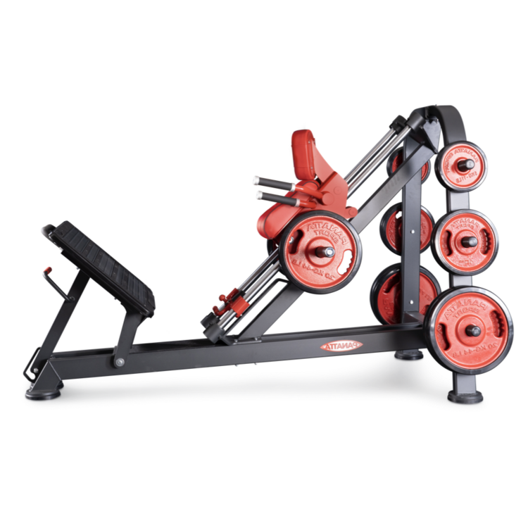 SUPER CALF HACK / 1FW092 : PANATTA KOREA