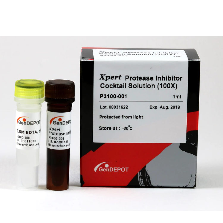Xpert Protease Inhibitor Cocktail Solution (100X) : Saintone(주)