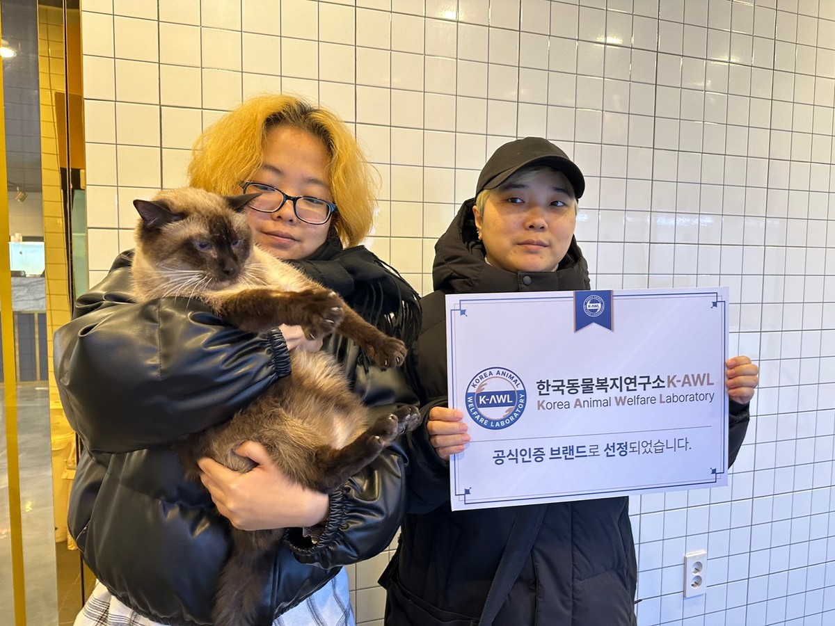 샴 잭슨 사모예드책임분양 스피츠책임분양 시바견책임분양 시베리안허스키책임분양 시츄책임분양 요크셔테리어책임분양 웰시코기책임분양 이탈리아그레이하운드책임분양 치와와책임분양 코카