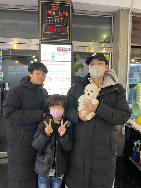 비숑프리제 가을 하이랜드폴드책임분양 애완견책임분양 반려견책임분양 소형견키우는방법 중형견키우는방법 대형견키우는방법 미니비숑프리제키우는방법 토이푸들키우는방법 골든리트리버키우는