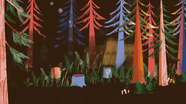 Tree-Poaching Is On the Rise : mg25