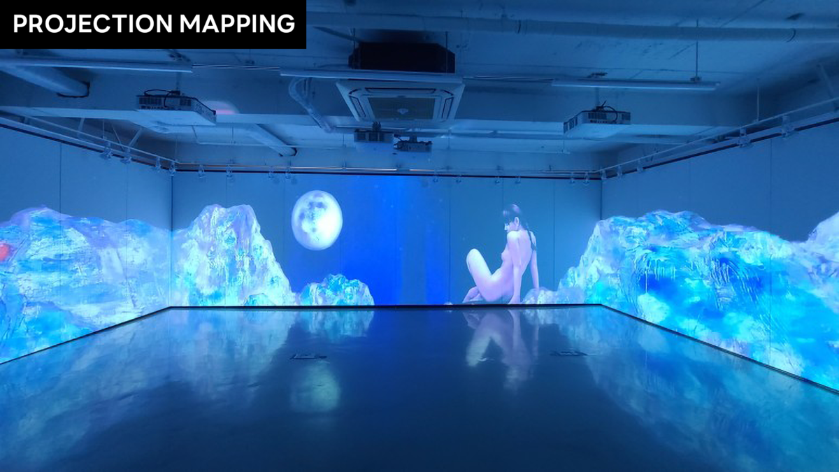 XR Gallery 'Starwings' : 미디어아트 기술 지원