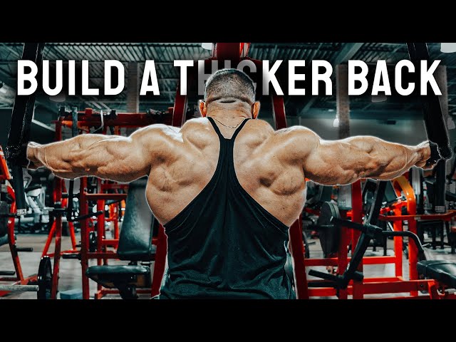 데릭 런스포드 등 Derek Lunsford Back : 프로 훈련법 - 제로투히어로