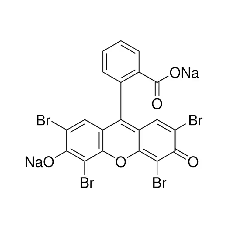 Eosin Y solution, 500mL : HLB바이오스텝 B2B MALL