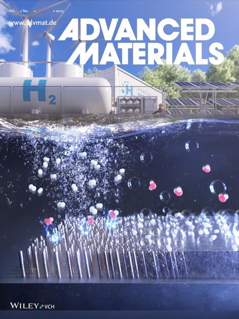 Efficient Alkaline Hydrogen Evolution Reaction Using Superaerophobic Ni Nanoarrays with ...