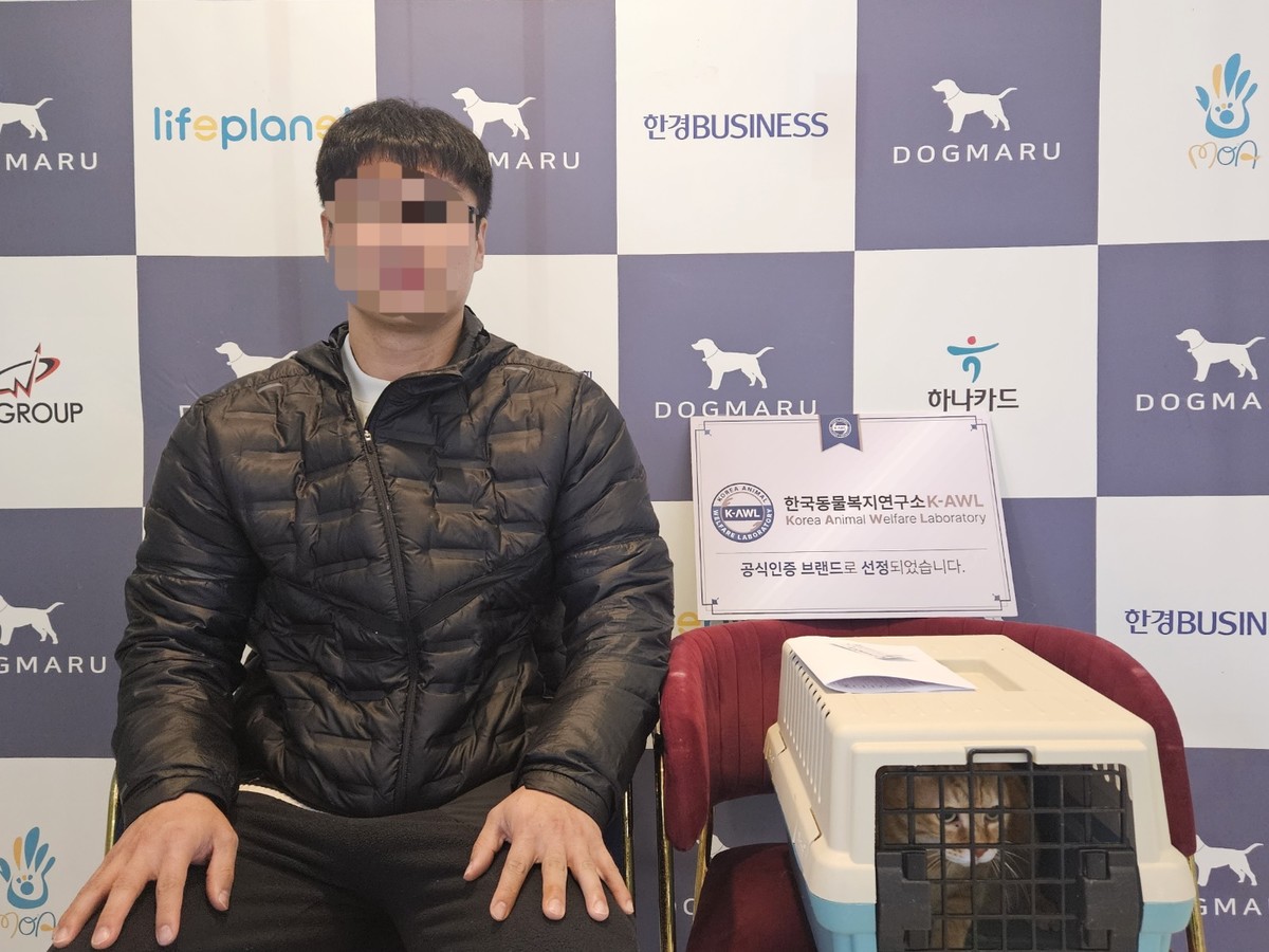 코리안숏헤어 이리 푸숑책임분양 노르웨이숲책임분양 데본렉스책임분양 뱅갈책임분양 샴책임분양 셀커크렉스책임분양 스핑크스책임분양 아메리칸숏헤어책임분양 아메리칸컬책임분양 아비시니안