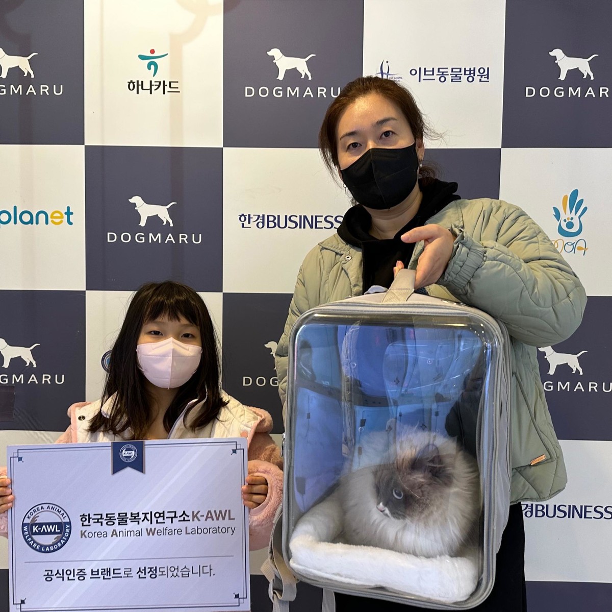 먼치킨 루루 사모예드책임분양 스피츠책임분양 시바견책임분양 시베리안허스키책임분양 시츄책임분양 요크셔테리어책임분양 웰시코기책임분양 이탈리아그레이하운드책임분양 치와와책임분양 코카