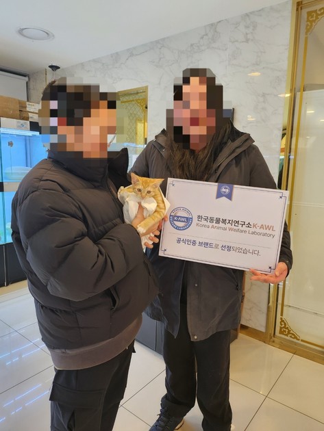 코리안숏헤어 치즈 유기견입양 유기묘입양 강아지입양 소형견입양 중형견입양 대형견입양 말티즈입양 말티푸입양 비숑프리제입양 미니비숑프리제입양 포메라니안입양 푸들입양 골든리트리버