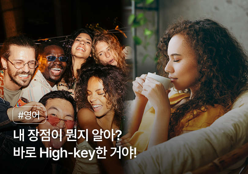 내 장점이 뭔지 알아? 바로 High-key한 거야! : NHPay