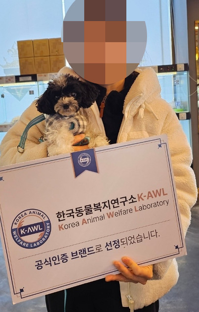 푸들 애송 프렌치불독크기 빠삐용크기 파피용크기 사모예드크기 스피츠크기 시바견크기 시베리안허스키크기 시츄크기 요크셔테리어크기 웰시코기크기 이탈리아그레이하운드크기 치와와크기