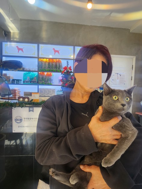 러시안블루 달 푸숑책임분양 노르웨이숲책임분양 데본렉스책임분양 뱅갈책임분양 샴책임분양 셀커크렉스책임분양 스핑크스책임분양 아메리칸숏헤어책임분양 아메리칸컬책임분양 아비시니안책임