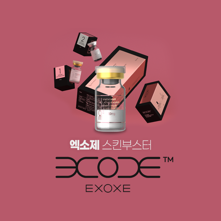 EXOXE 엑소좀 : 주식회사 플렉스브로스