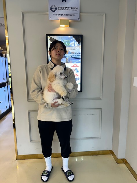 스탠다드 푸들 창식이 샴입양 셀커크렉스입양 스코티쉬폴드입양 스핑크스입양 아메리칸숏헤어입양 아비시니안입양 터키시앙고라입양 페르시안입양 애완견입양 반려견입양 털빠짐없는소형견종류