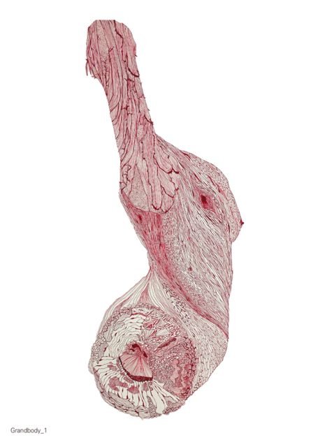 민예원 Min Yewon : Moado(모아도)