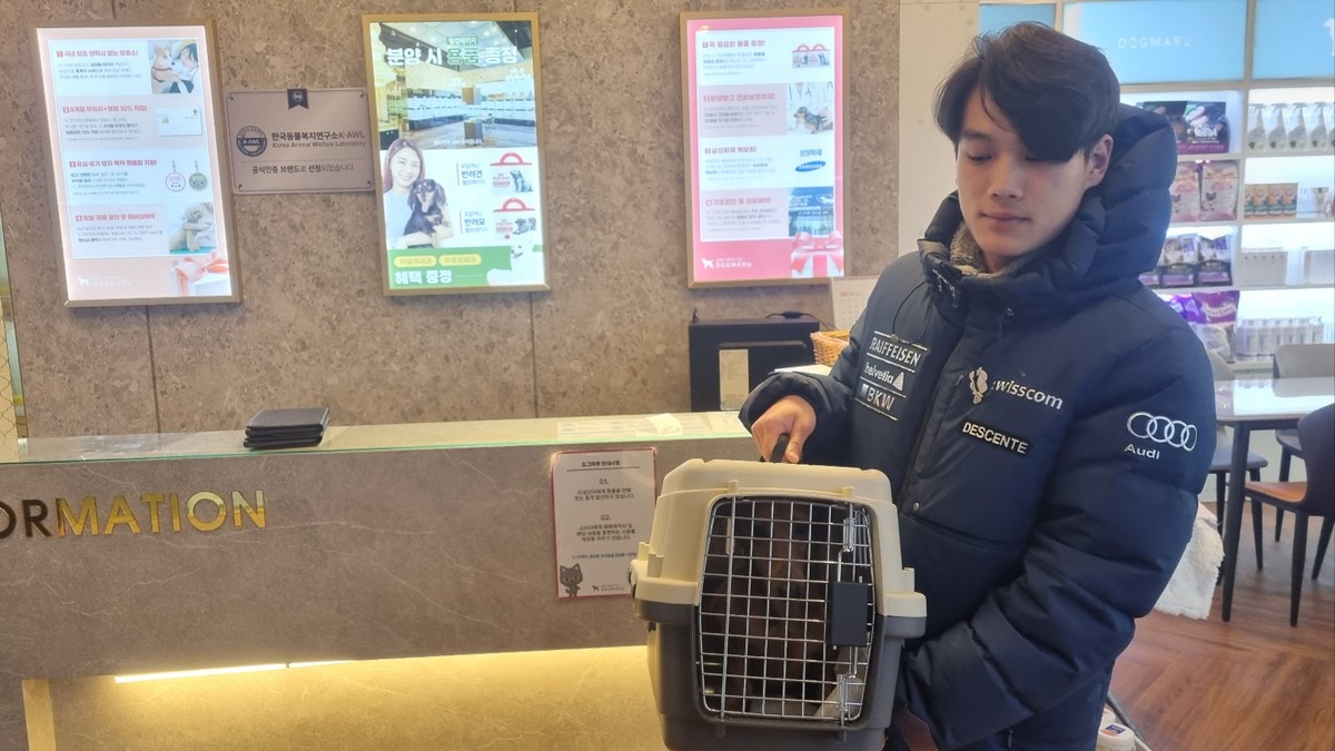 닥스훈트 초코 이탈리아그레이하운드입양 치와와입양 폼스키입양 폼치입양 폼피츠입양 푸숑입양 고양이입양 랙돌입양 러시안블루입양 먼치킨입양 브리티쉬숏헤어입양 노르웨이숲입양 뱅갈입양