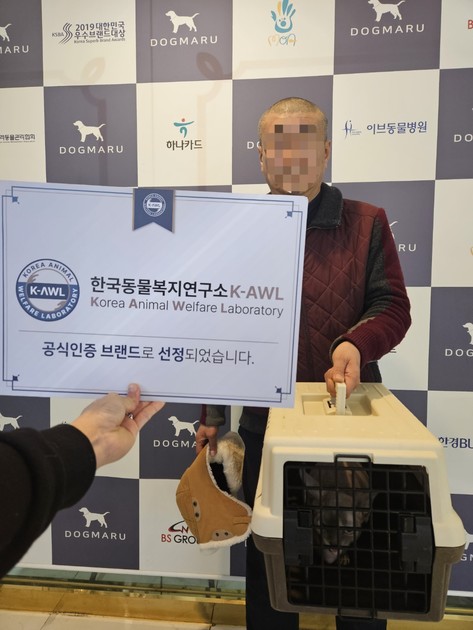 스핑크스 곤이 말티즈크기 말티푸크기 푸들크기 먼치킨크기 랙돌크기 브리티쉬숏헤어크기 스코티쉬폴드크기 러시안블루크기 강아지크기 고양이크기 유기견임시보호 유기묘임시보호 강아지임시