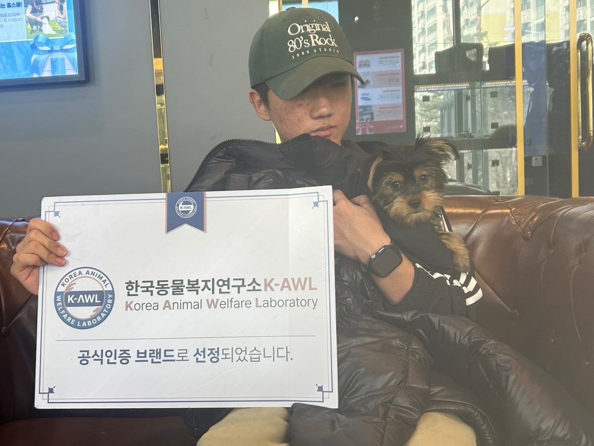 요크셔테리어 메리 강아지책임분양 고양이책임분양 유기견책임분양 유기묘책임분양 연예인강아지분양하는곳 연예인고양이분양하는곳 골댕이무료분양 강아지입양보내기 고양이입양보내기 강아지