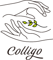 코리고/비스비엔