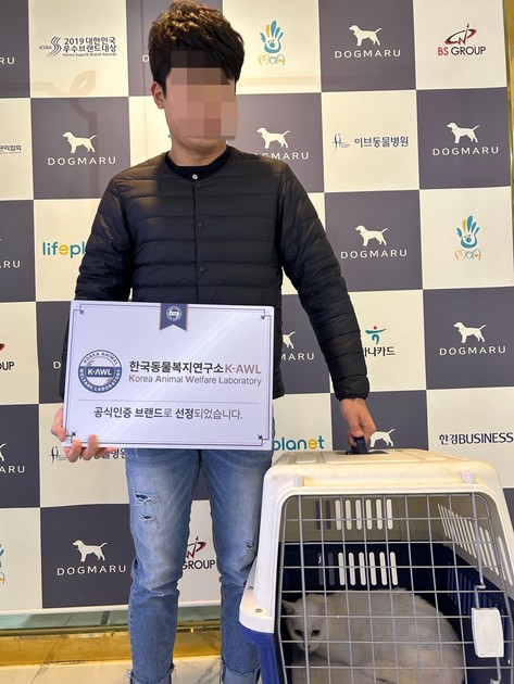 코리안숏헤어 나비 애완견성격 반려견성격 소형견크기 중형견크기 미니비숑프리제크기 토이푸들크기 골든리트리버크기 래브라도리트리버크기