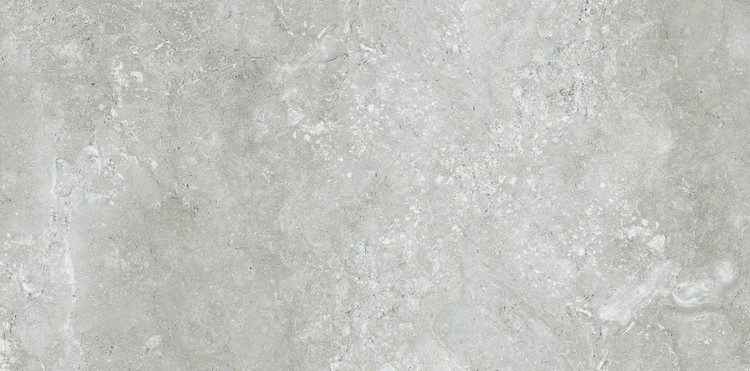 STARIO GRIGIO HONED : c&m space