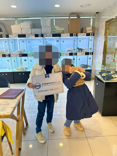 코리안숏헤어 사 말티푸전문무료분양 푸들전문무료분양 먼치킨전문무료분양 랙돌전문무료분양 브리티쉬숏헤어전문무료분양 스코티쉬폴드전문무료분양 러시안블루전문무료분양 강아지전문무료분양