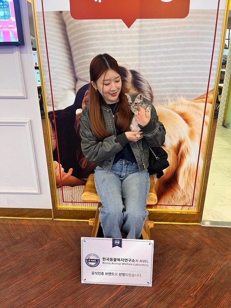 아메리칸숏헤어 키키 대형견책임분양 미니비숑프리제책임분양 토이푸들책임분양 골든리트리버책임분양 래브라도리트리버책임분양 닥스훈트책임분양 도베르만책임분양 말티치책임분양 말티폼책임