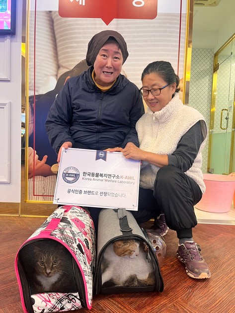 코리안숏헤어 라랑 요크셔테리어무료입양사이트 웰시코기무료입양사이트 이탈리아그레이하운드무료입양사이트 치와와무료입양사이트 코카스파니엘무료입양사이트 폼스키무료입양사이트 폼치무료입양