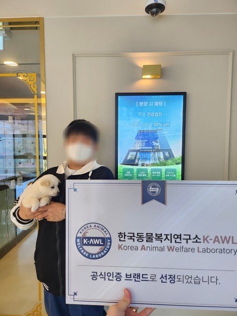 진도믹스 건 사모예드책임분양 스피츠책임분양 시바견책임분양 시베리안허스키책임분양 시츄책임분양 요크셔테리어책임분양 웰시코기책임분양 이탈리아그레이하운드책임분양 치와와책임분양 코카