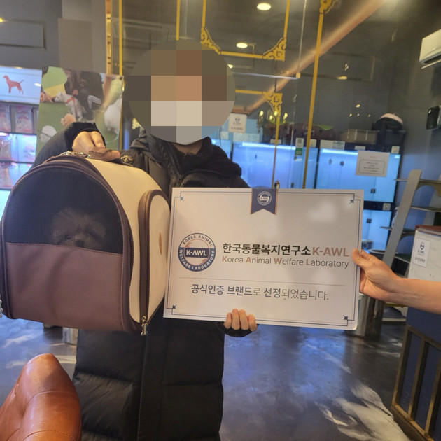 말티푸 댕동이 고양이보호소 유기견보호소 유기묘보호소 비숑프리제책임분양 포메라니안책임분양 말티즈책임분양 말티푸책임분양 푸들책임분양 먼치킨책임분양 랙돌책임분양 브리티쉬숏헤어책임