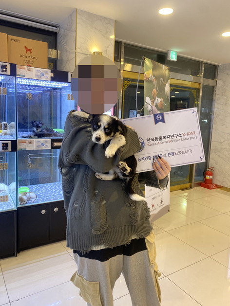 믹스견 하루 닥스훈트무료입양사이트 도베르만무료입양사이트 말티치무료입양사이트 말티폼무료입양사이트 보더콜리무료입양사이트 프렌치불독무료입양사이트 빠삐용무료입양사이트 파피용무료입양